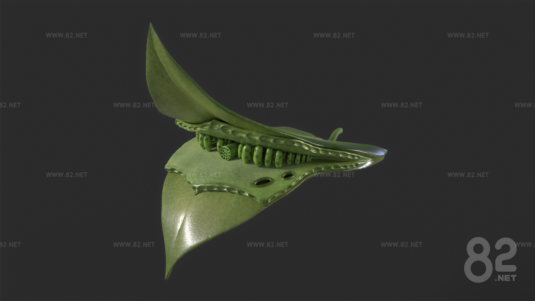 plant photosynthesis green plant 3d Model tbscene fbx max obj | 82Models