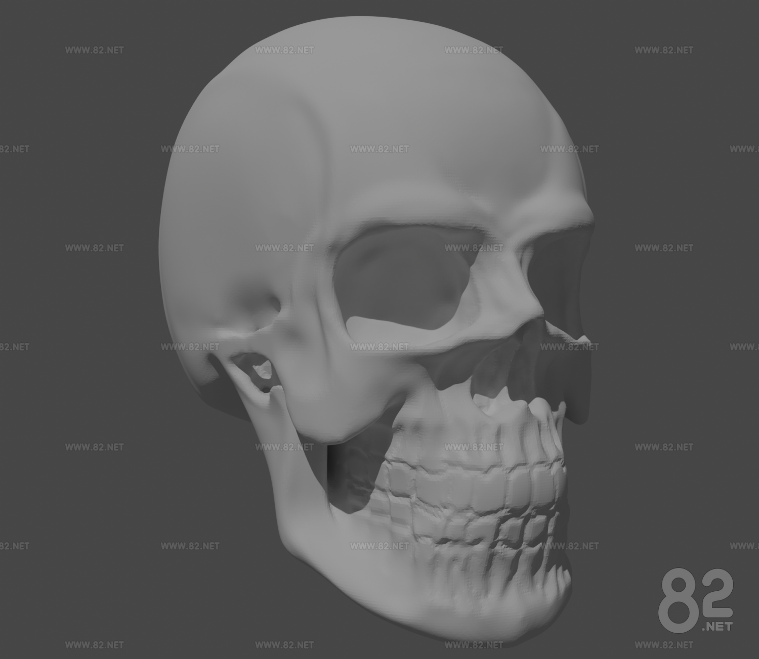 solid skull carving bone 3d Model blend | 82Models