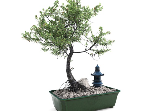 Bonsai | 3Ds Max(.max) - 82Models