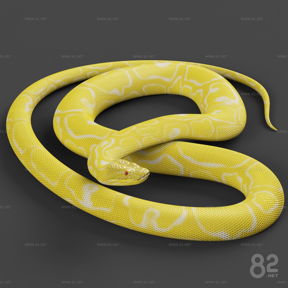 python | 3Ds Max(.max) - 82Models