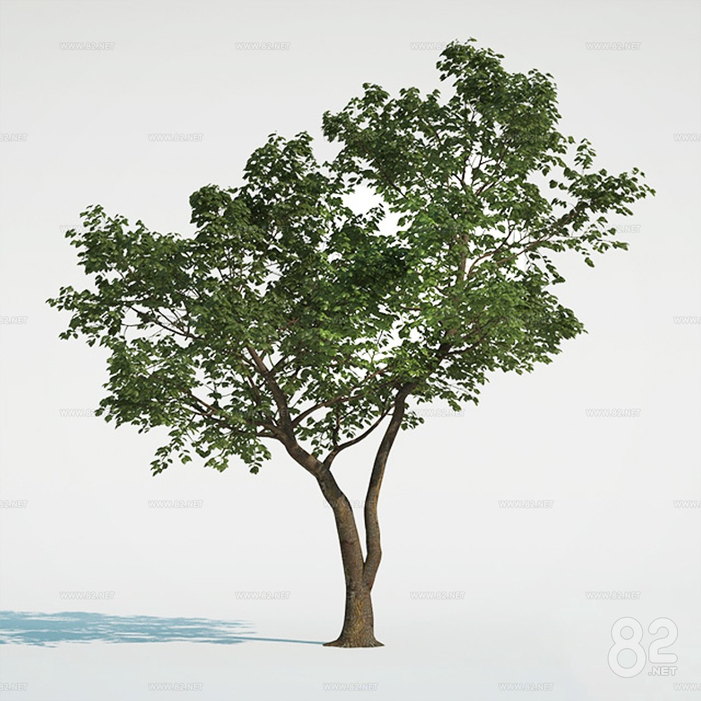 landscape tree | 3Ds Max(.max) - 82Models