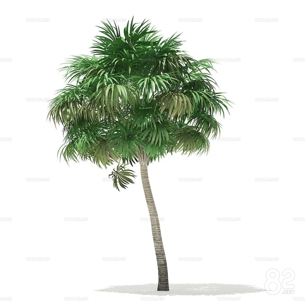 thatched palm tree | 3Ds Max(.max) - 82Models