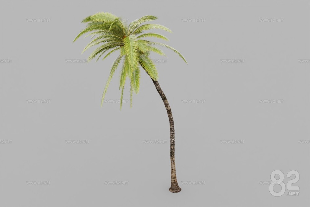 Coconut Tree | 3Ds Max(.max) - 82Models