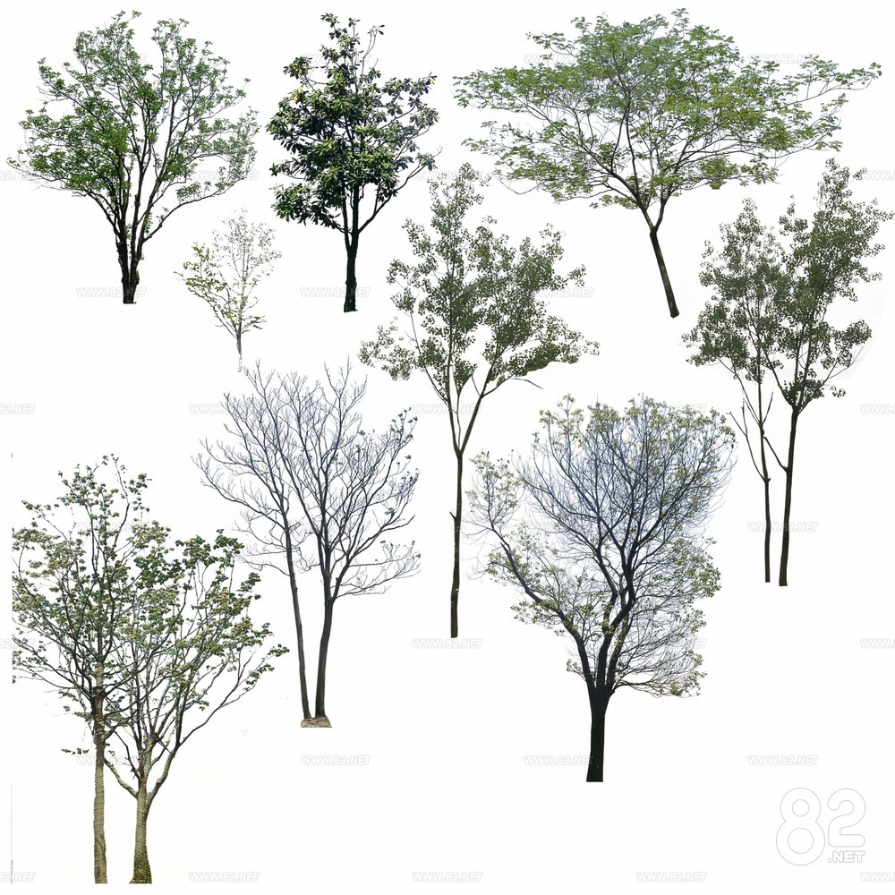 modern dead tree trees landscape tree psd | 3Ds Max(.max) - 82Models