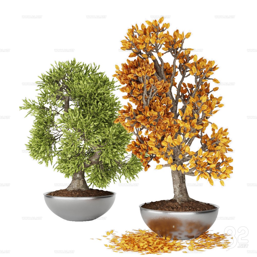 Modern Simple Metal Flower Pot Tree Potted Plant Free | 3Ds Max(.max) - 82Models