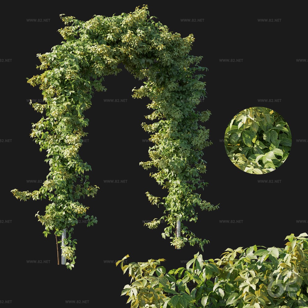 Vines Free | 3Ds Max(.max) - 82Models