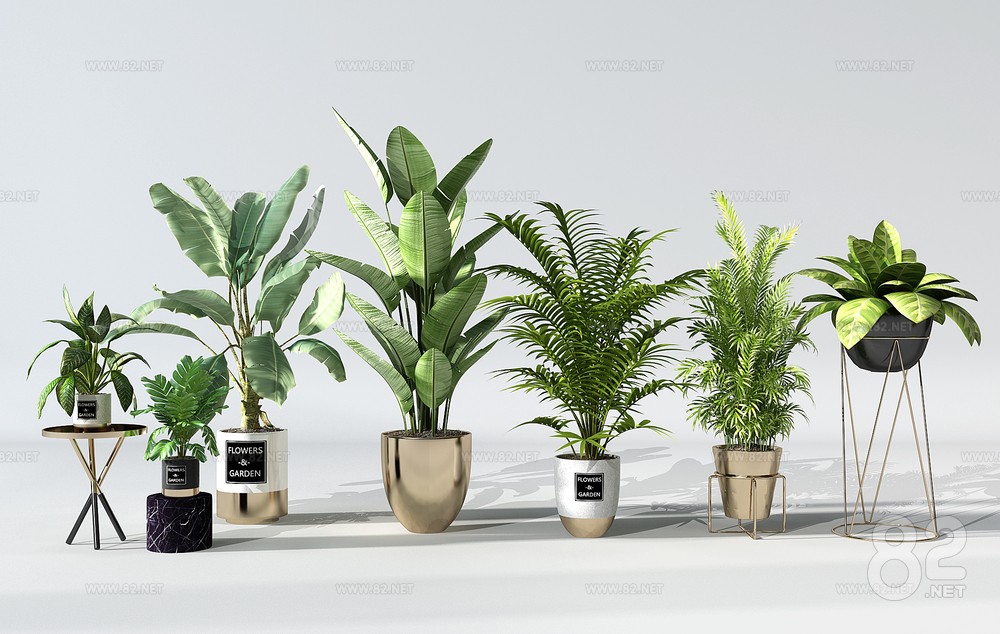 Modern plants potted free | 3Ds Max(.max) - 82Models