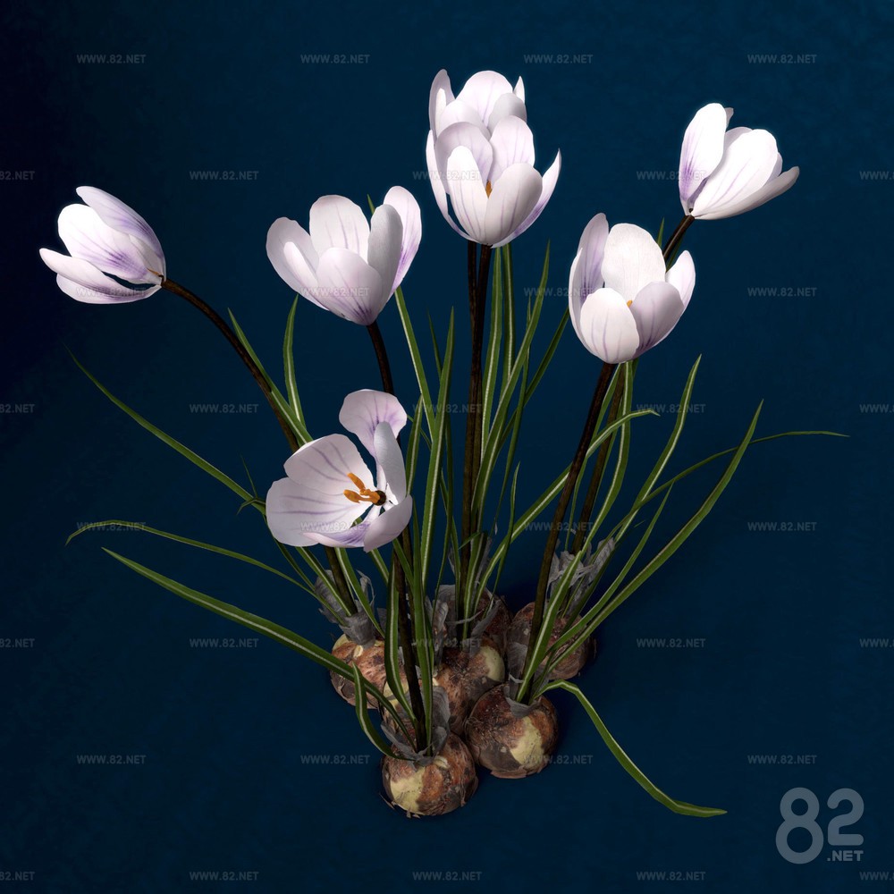 Flowers Free 3D Model | 3Ds Max(.max) - 82Models
