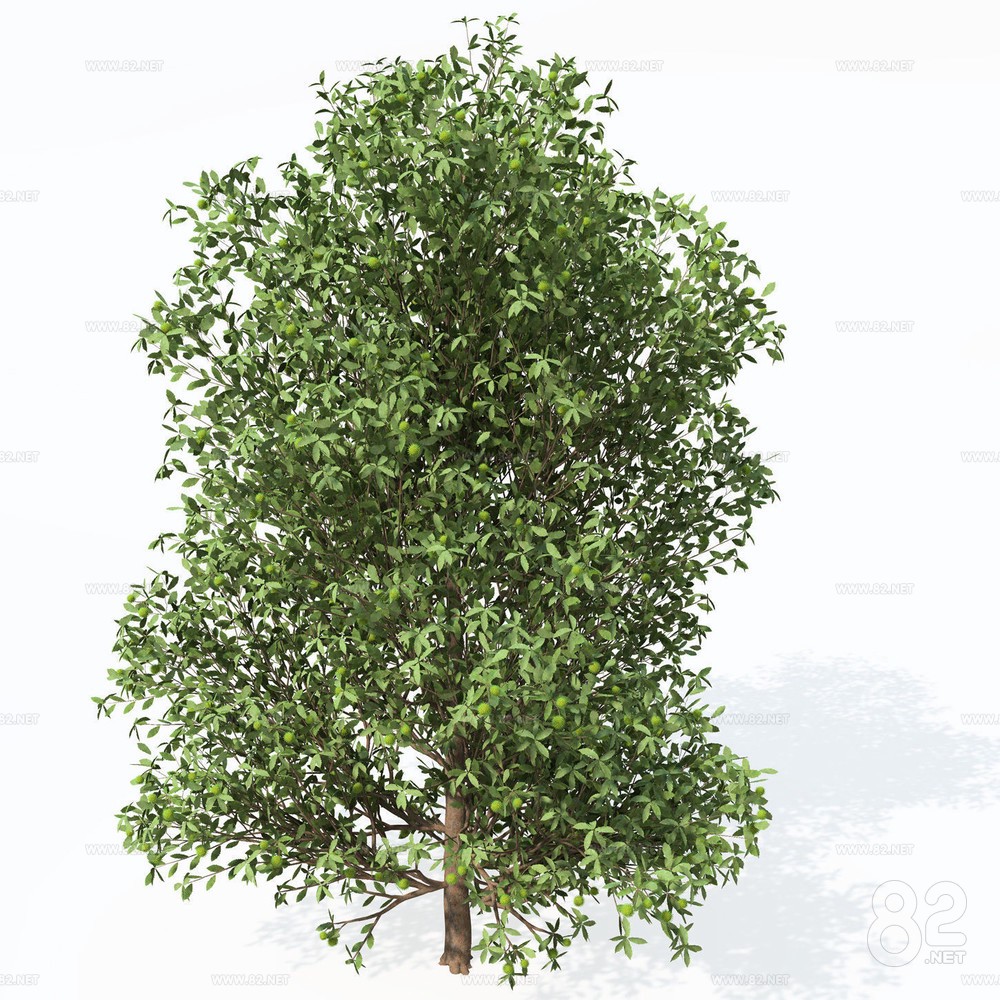 Trees Free | 3Ds Max(.max) - 82Models