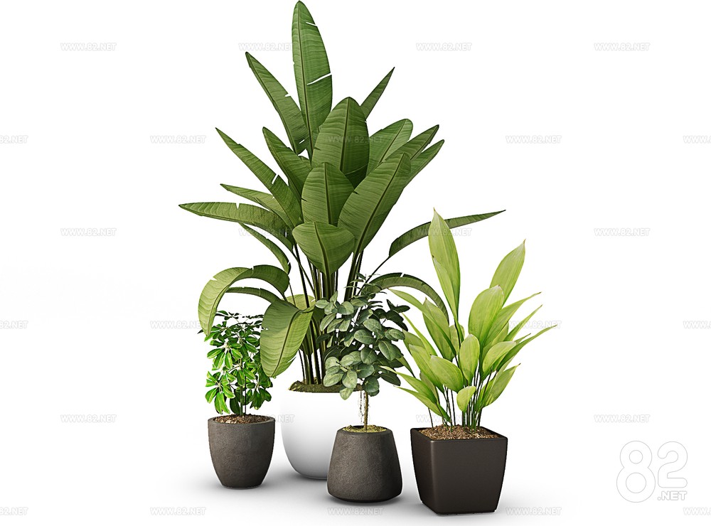 Modern plants potted free 3D Model | 3Ds Max(.max) - 82Models