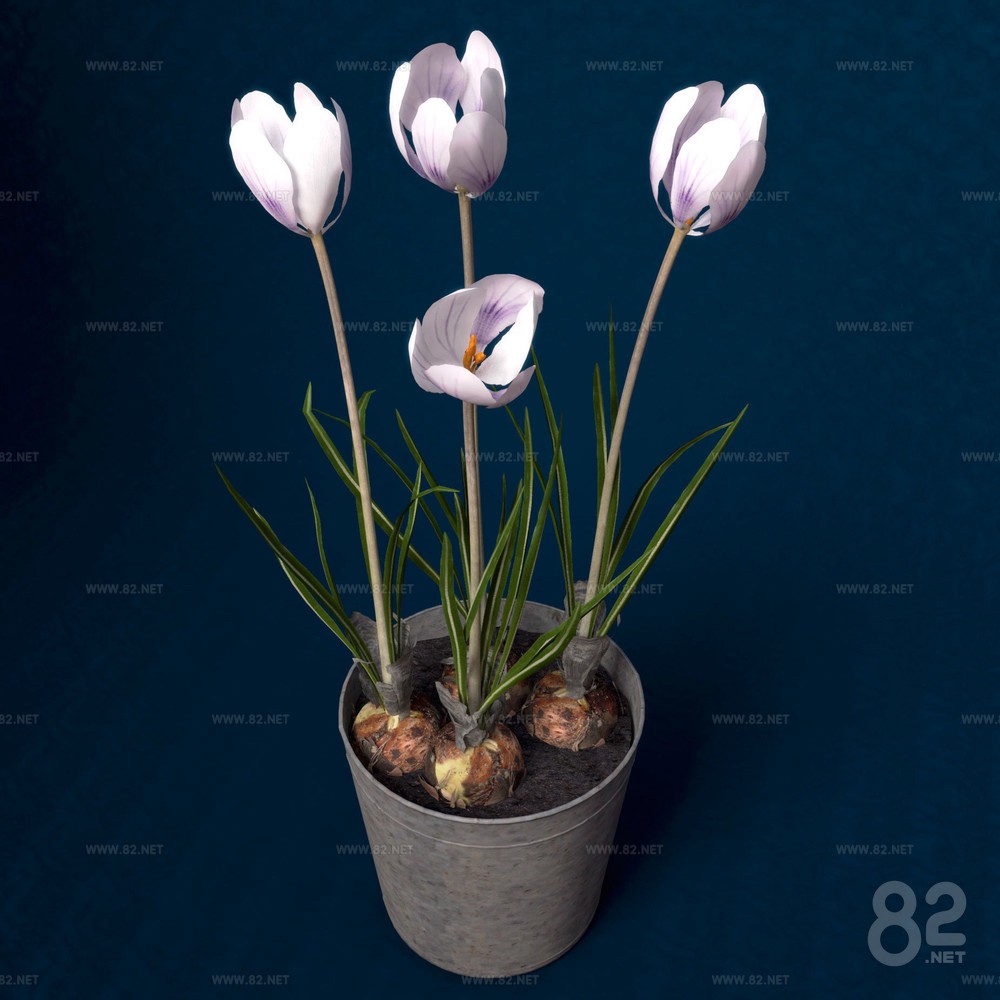 free potted flower 3D Model | 3Ds Max(.max) - 82Models