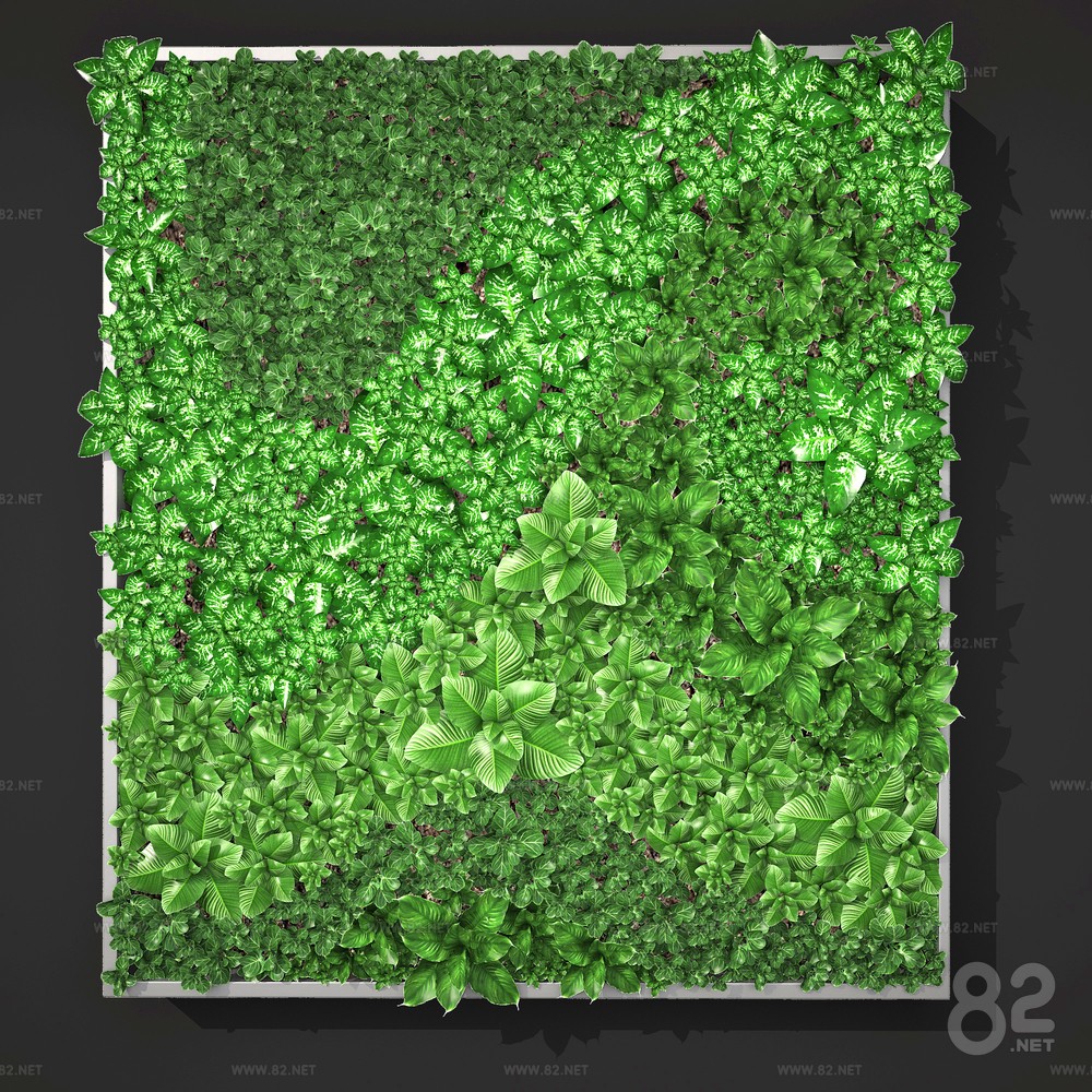 Plant wall free | 3Ds Max(.max) - 82Models