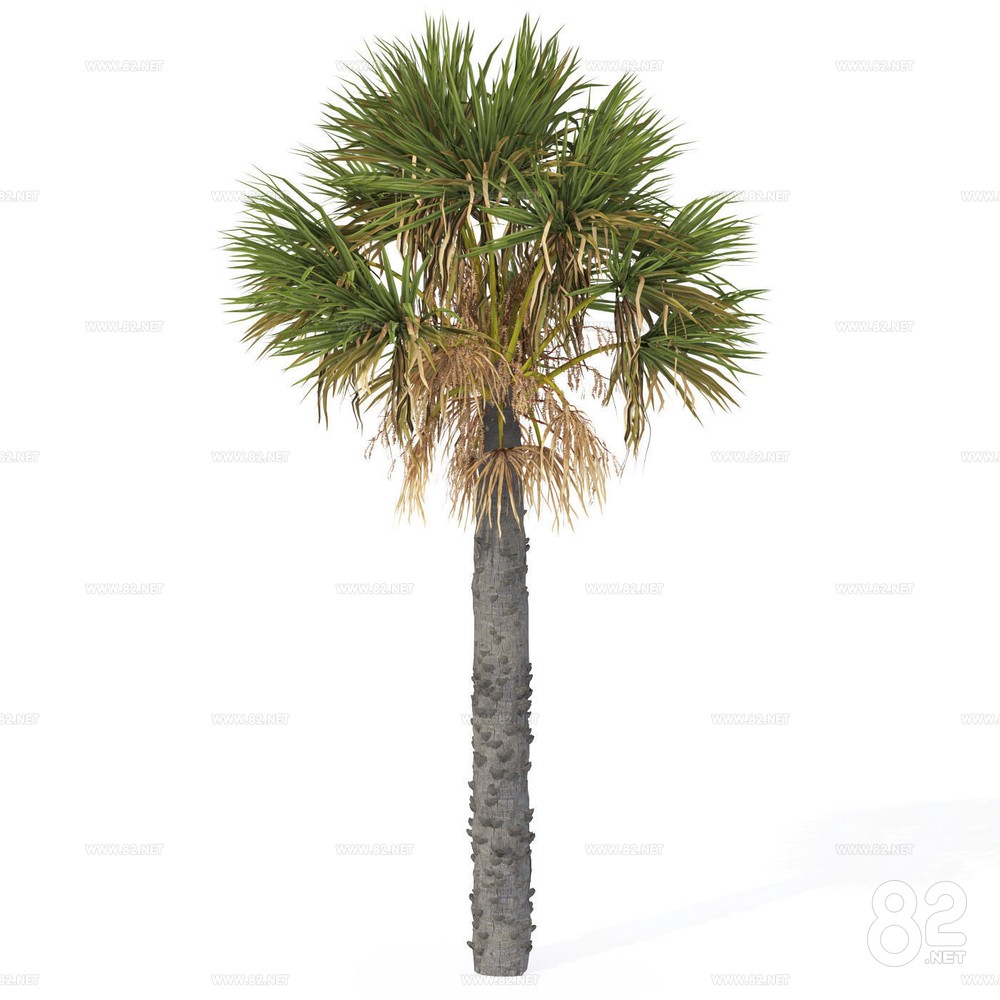 Green trees for free | 3Ds Max(.max) - 82Models