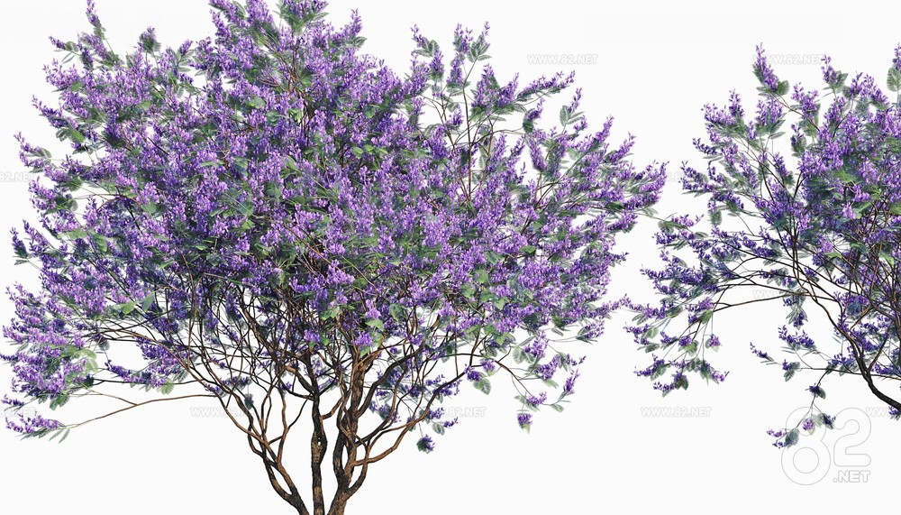 Tree | 3Ds Max(.max) - 82Models