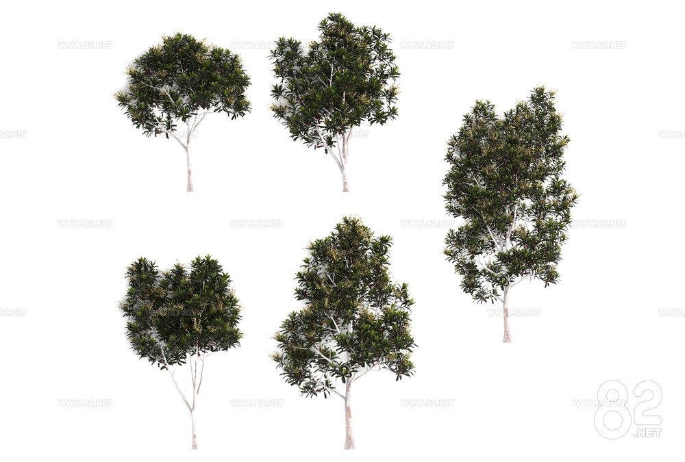 Modern Green Plant Landscape Tree Free | 3Ds Max(.max) - 82Models