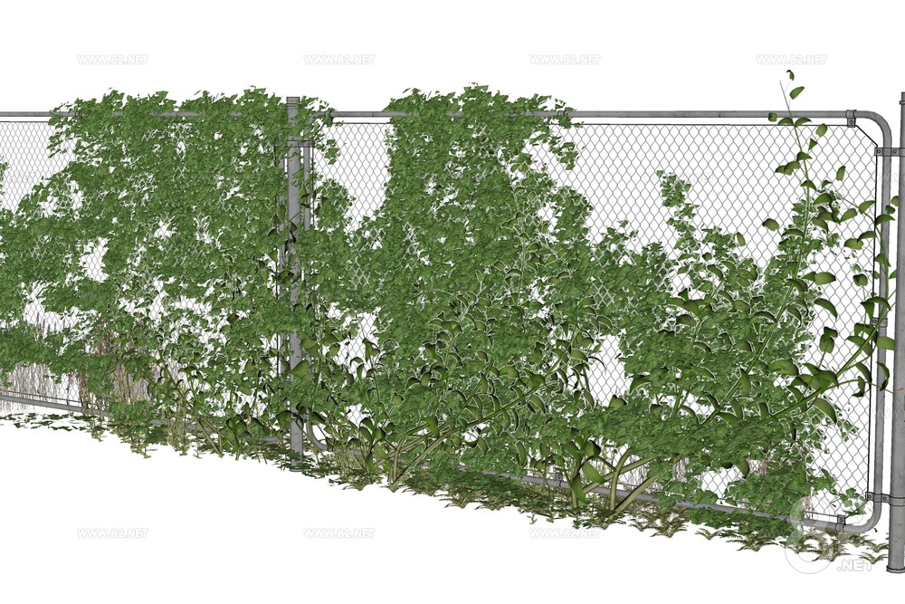Vine | SketchUp(.skp) - 82Models
