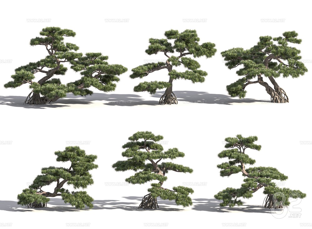 Pohan Pine Tree | 3Ds Max(.max) - 82Models
