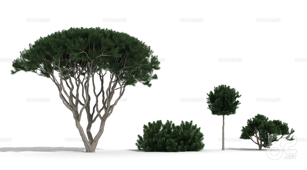 pine tree | 3Ds Max(.max) - 82Models