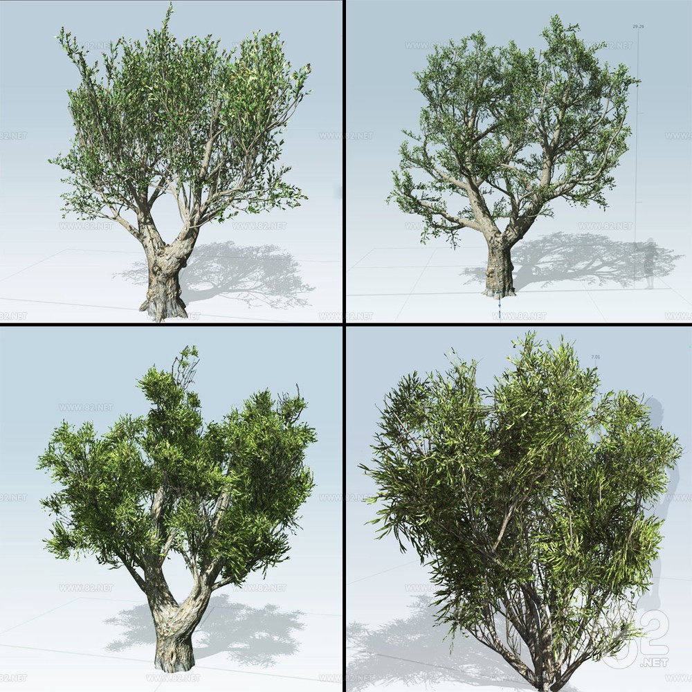 Outdoor landscape green tree modeling tree combination | 3Ds Max(.max) - 82Models