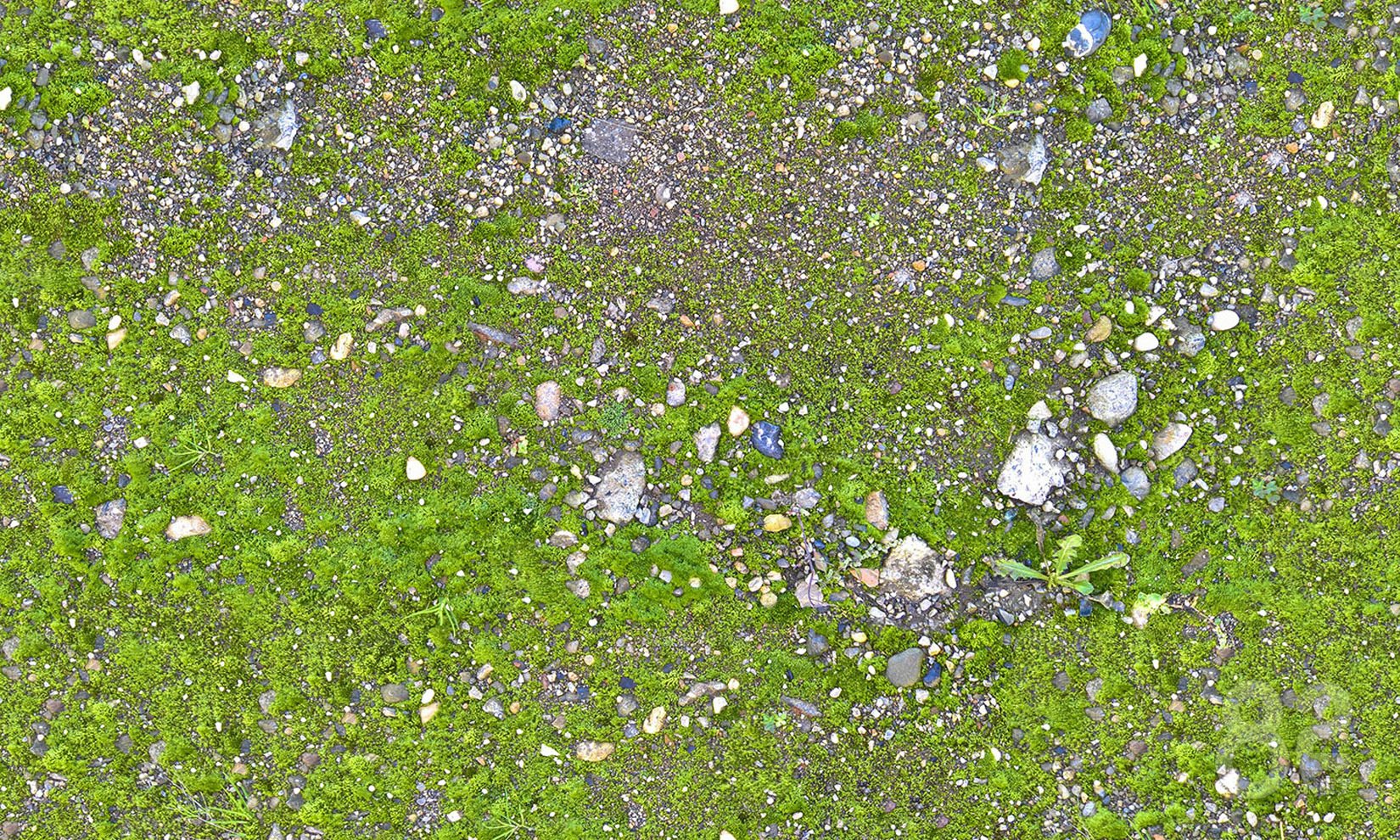Seamless Courtyard Garden Moss Lawn Turf Grass Rock Ground 3D | Texture ...