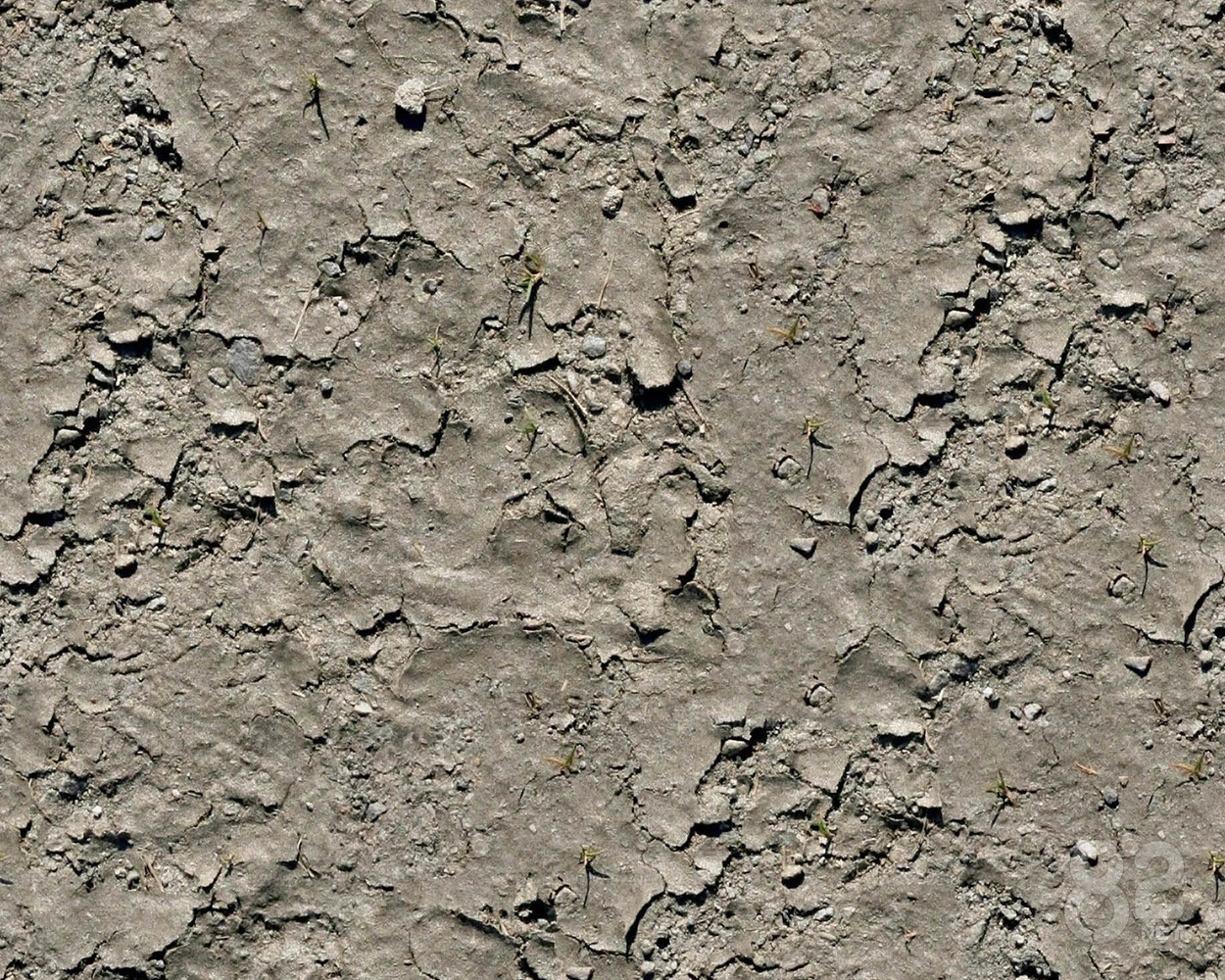 Seamless Grey Drought Cracked Soil Road Ground 3D | Texture Maps (.jpg ...