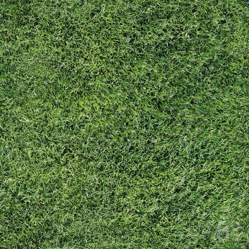 Seamless Garden Landscape Courtyard Green Lawn Grass Ground 3D ...