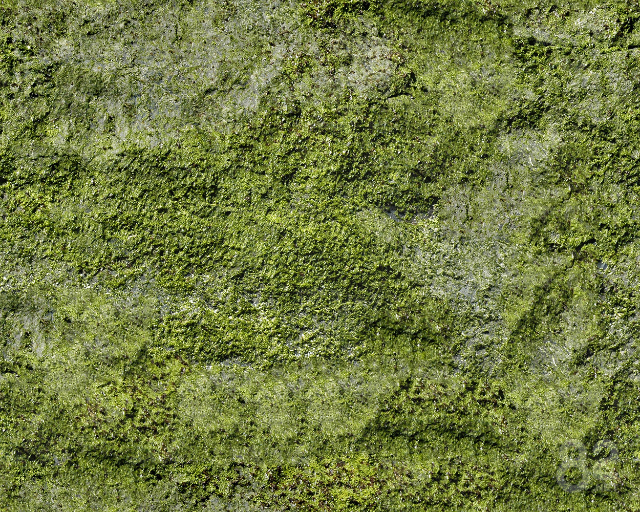 Seamless Courtyard Garden Moss Lawn Turf Grass Rock Ground 3D | Texture ...