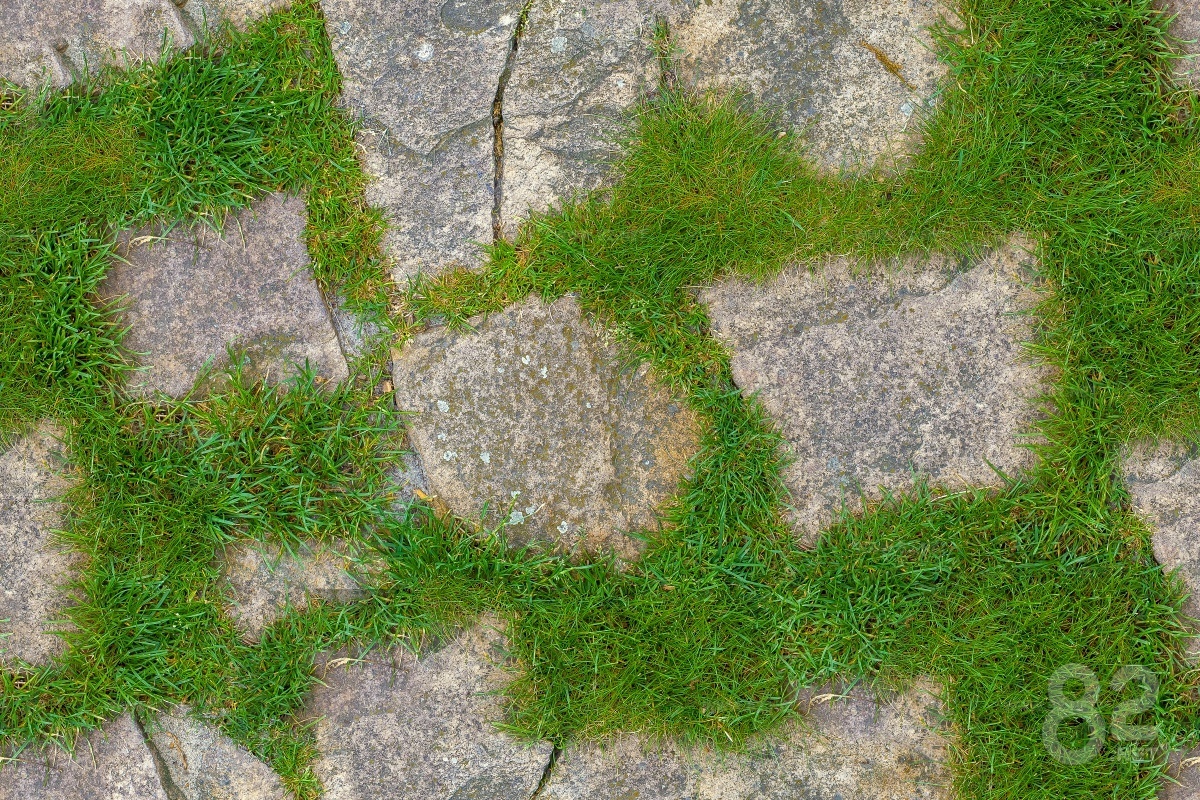 Grass planting 3D natural stone gap | Texture Maps (.jpg .png) - 82Models