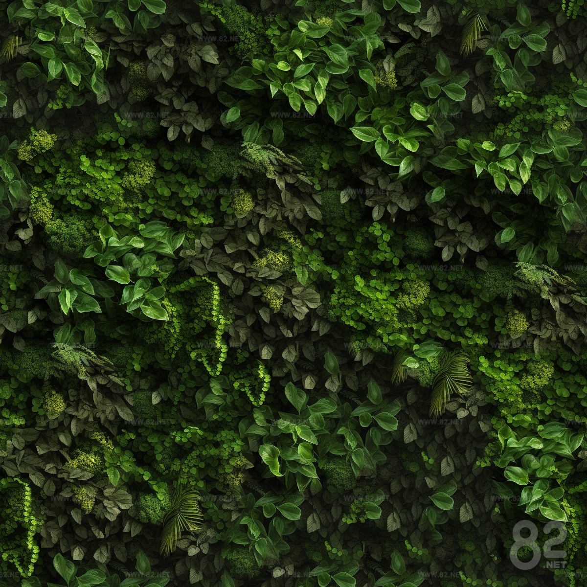 Seamless Green Plant Wall Seamless Plant Wall Seamless Green Plant ...