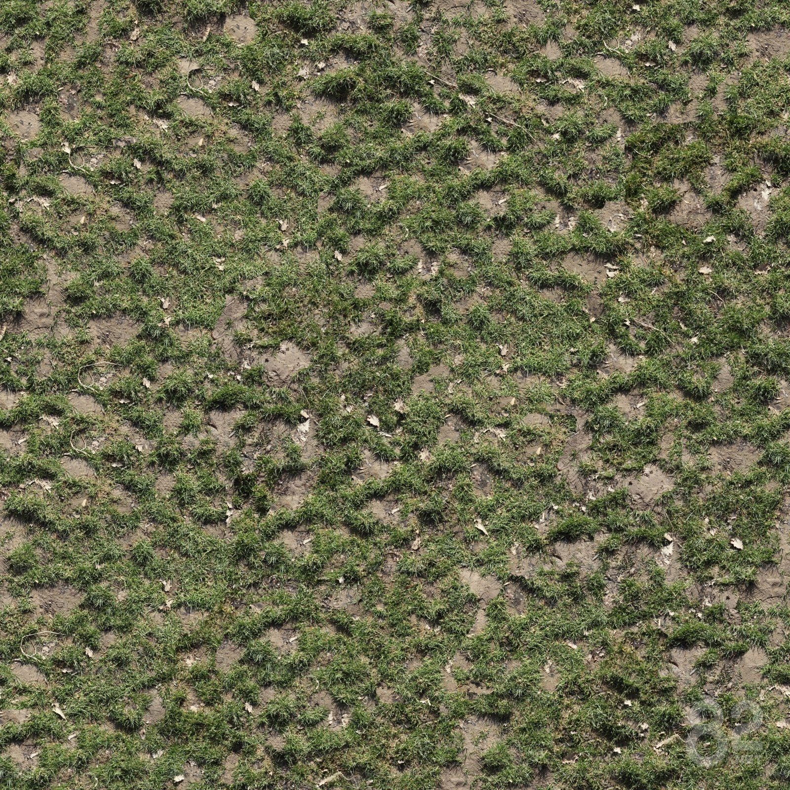 HD Real Natural Grass Turf Lawn Soil Green Space 3D | Texture Maps ...