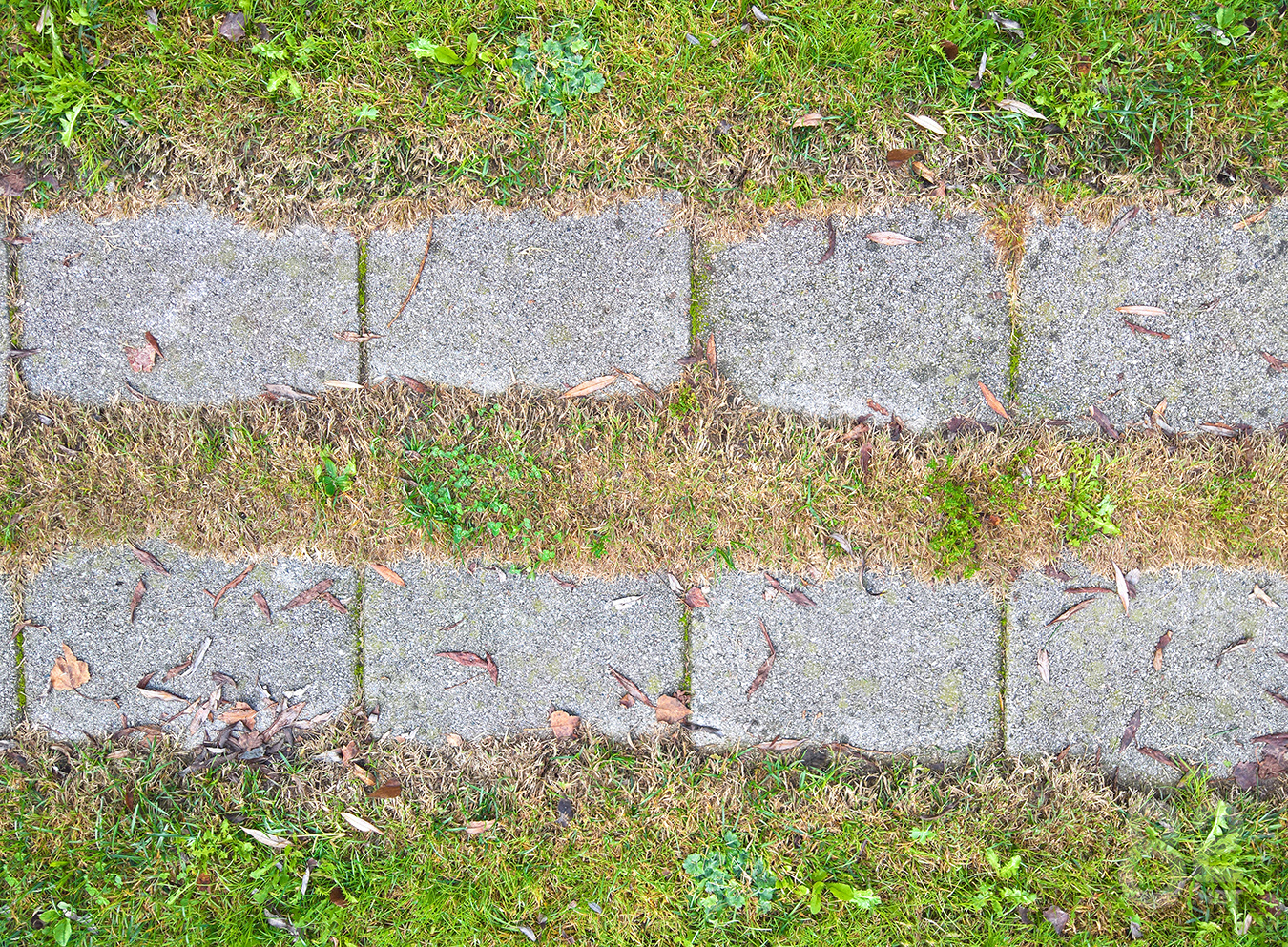 Seamless Park Permeable Brick Lawn Brick Grass Brick Parking Space ...