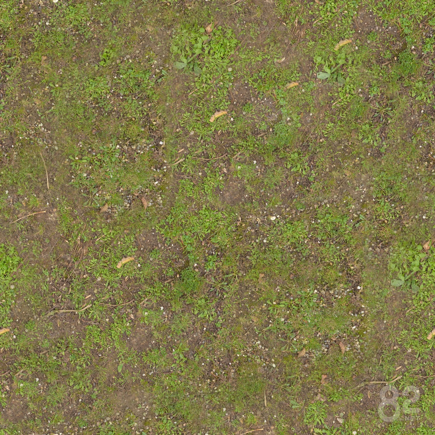 Lawn grass turf | Texture Maps (.jpg .png) - 82Models