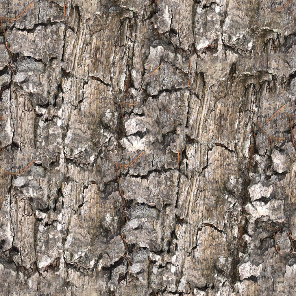 Seamless cracked dried bark texture 3D | Texture Maps (.jpg .png ...
