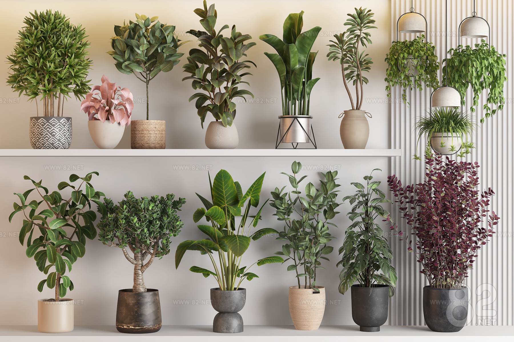 Modern Green Plant Potted Plant Combination Flower Pot Fortune Tree ...