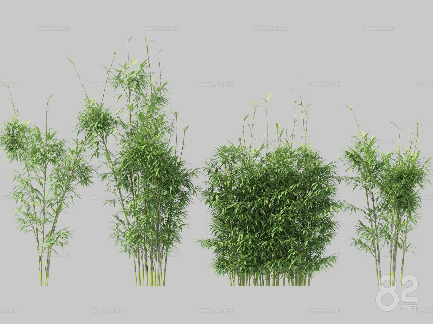 Bamboo download | 3Ds Max(.max) - 82Models