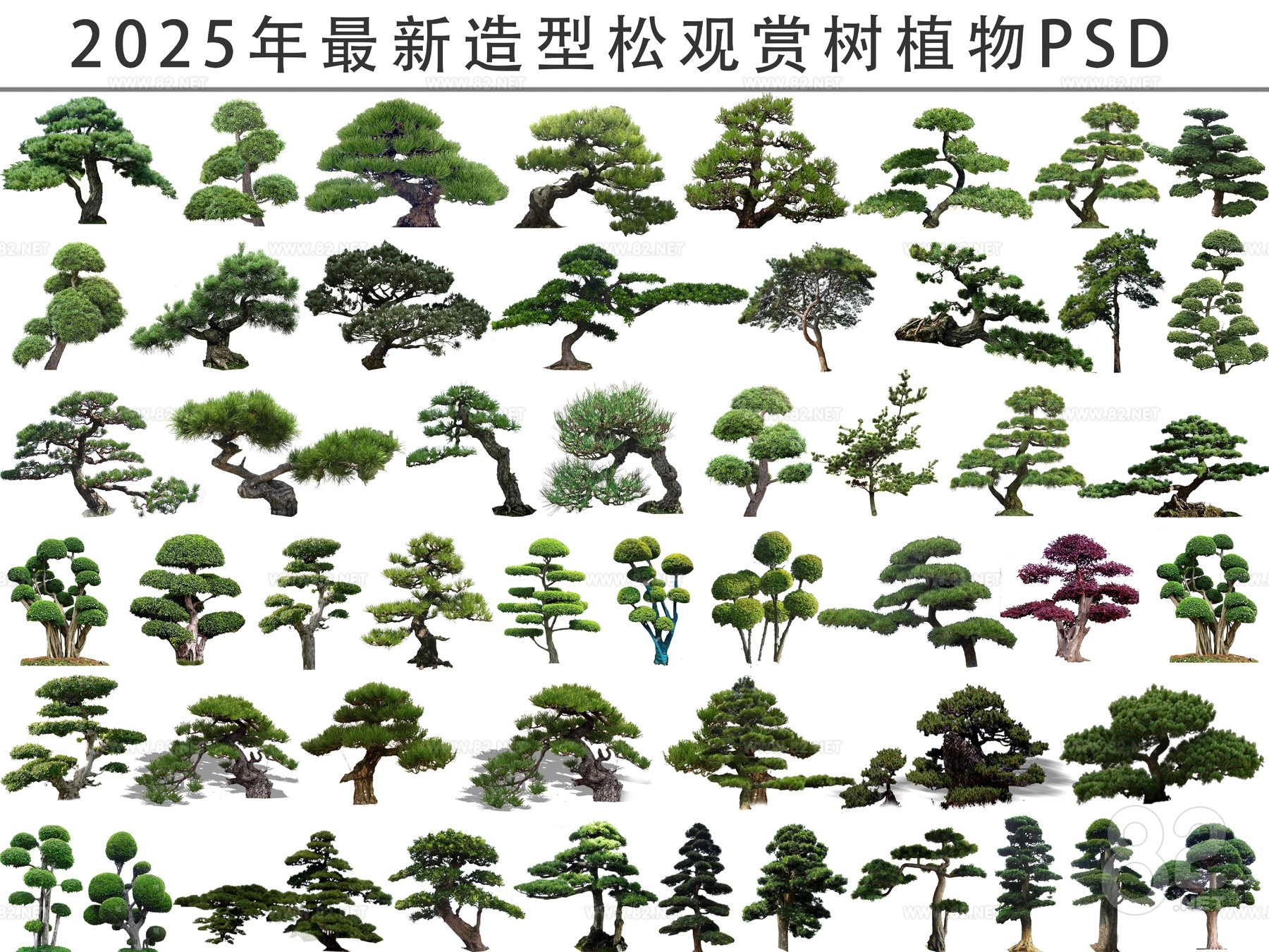 Pig-free modeling pine ornamental tree plant psd | 3Ds Max(.max) - 82Models