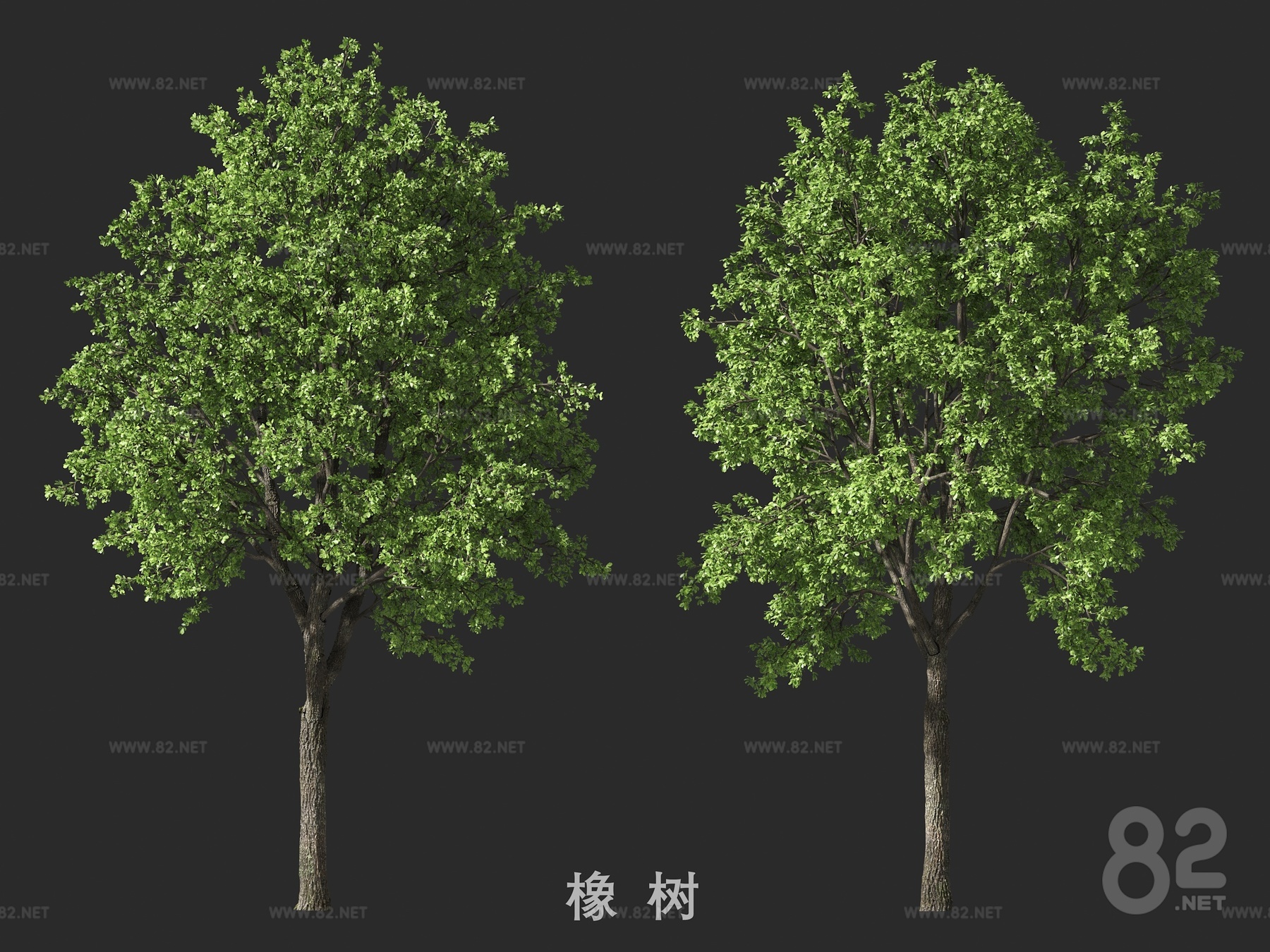 tree oak download | 3Ds Max(.max) - 82Models