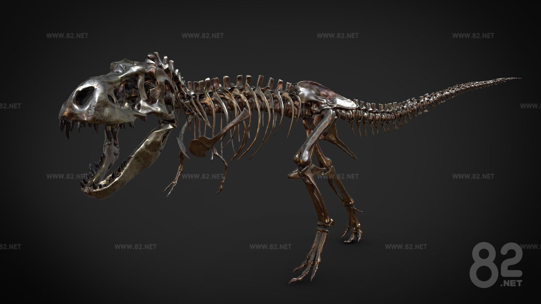Tyrannosaurus rex skeleton download | 3Ds Max(.max) - 82Models