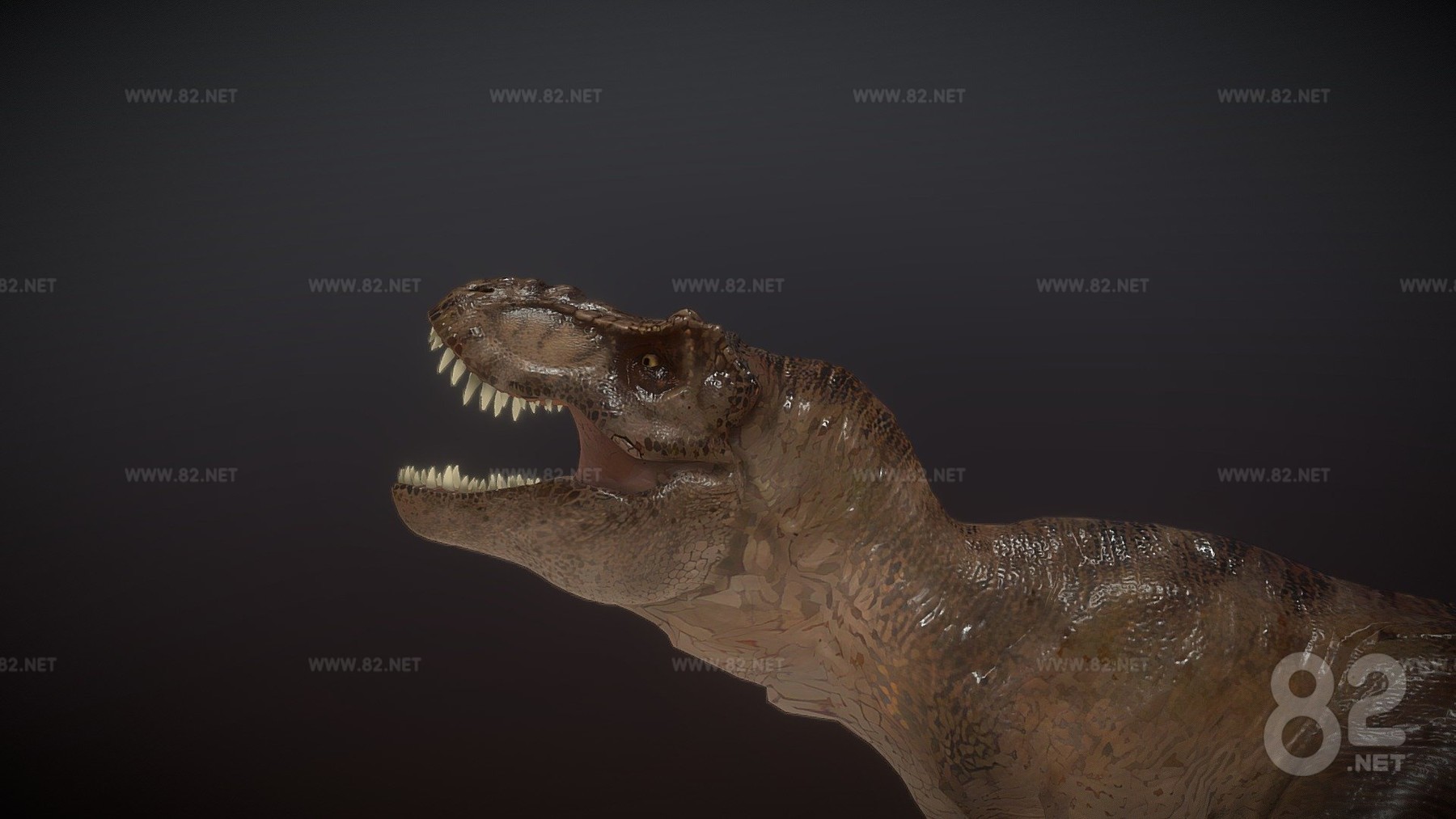 Tyrannosaurus Rex Skeleton (Don't Eat Me Ferris Wheel) download | 3Ds ...