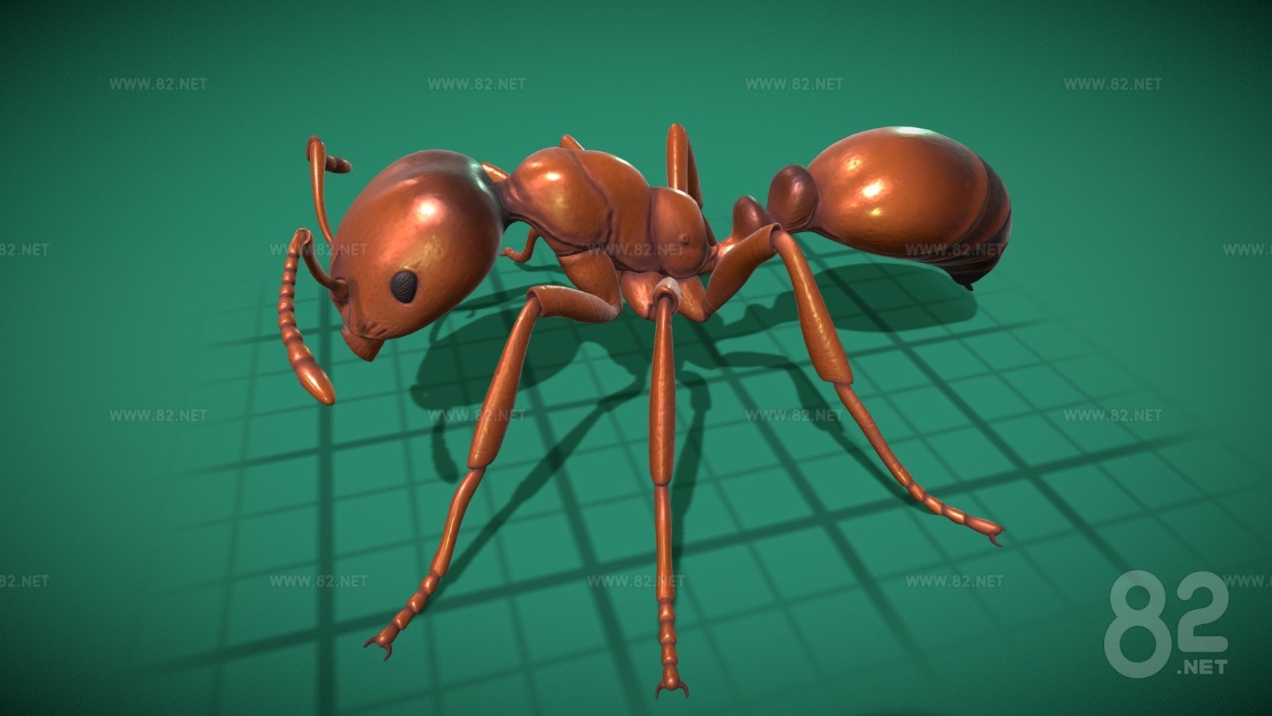 Red Fire Ant-with animation download | 3Ds Max(.max) - 82Models