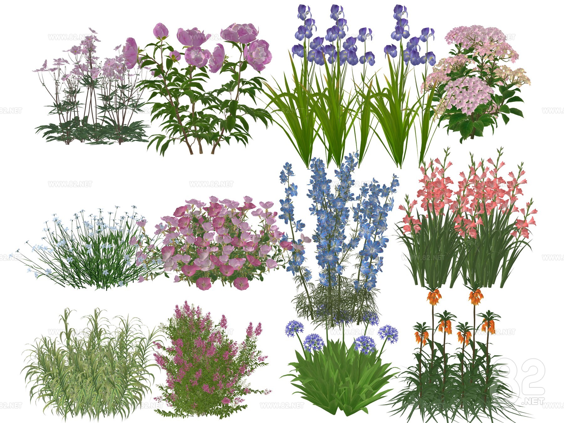Courtyard Plants Flowers and Grasses Flowers Plant Park Landscape ...
