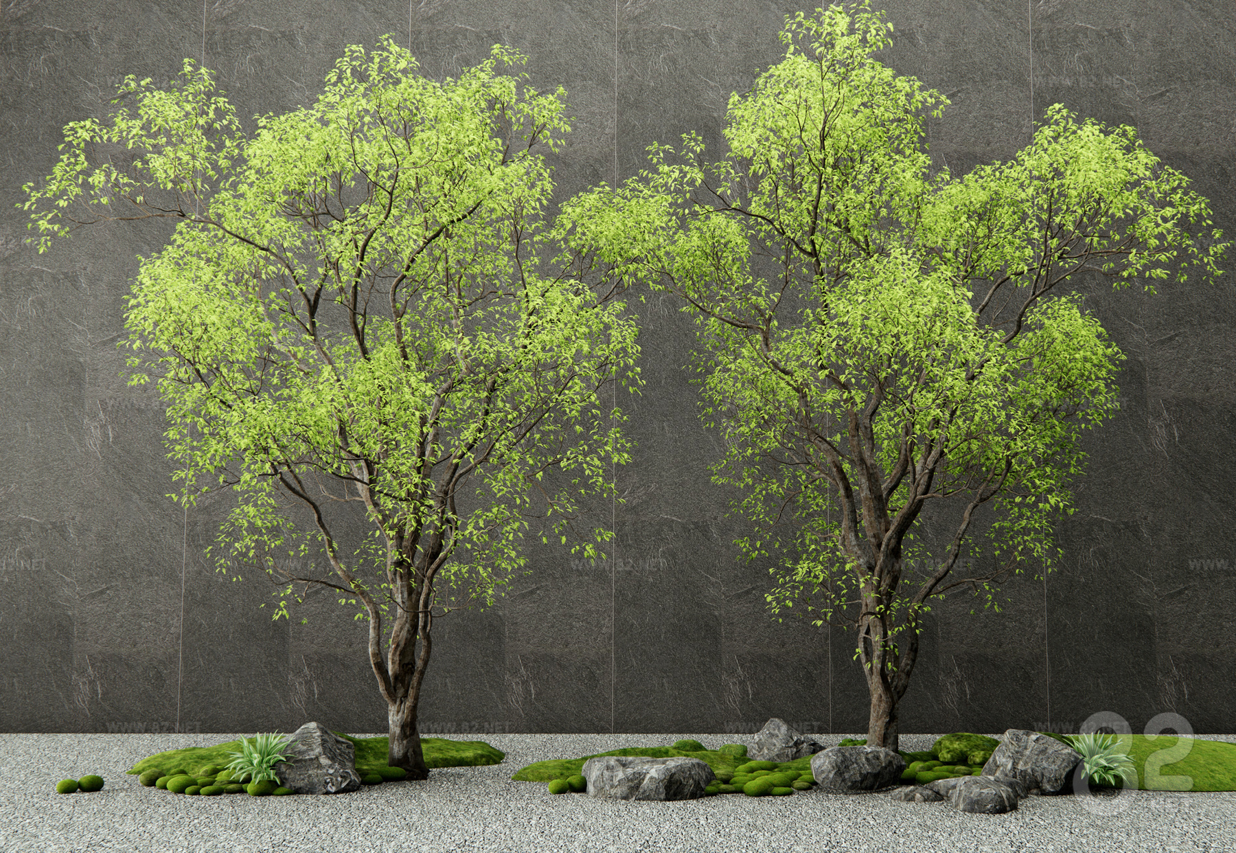 Modern landscape tree arbor courtyard tree modeling tree moss stone ...