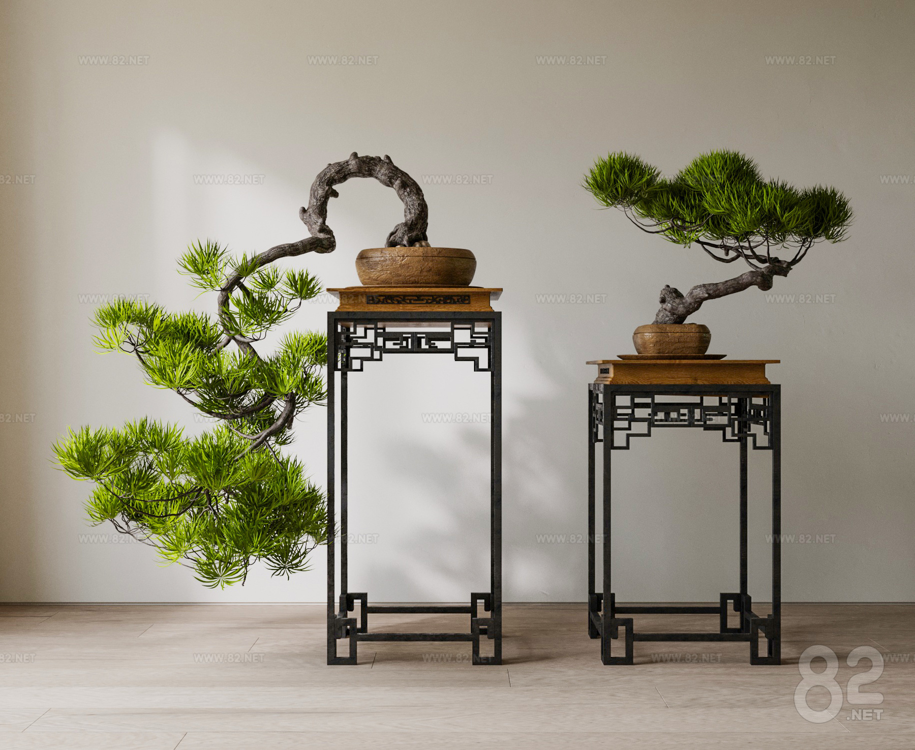 New Chinese plant potted pine bonsai landscape plants download ...