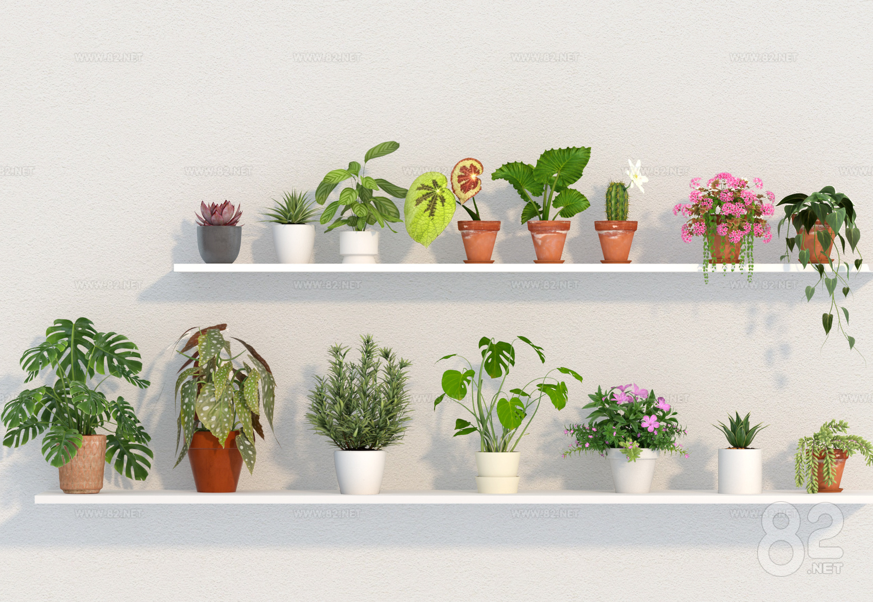 green plants fleshy potted small green plants download 3D Model | 3Ds ...