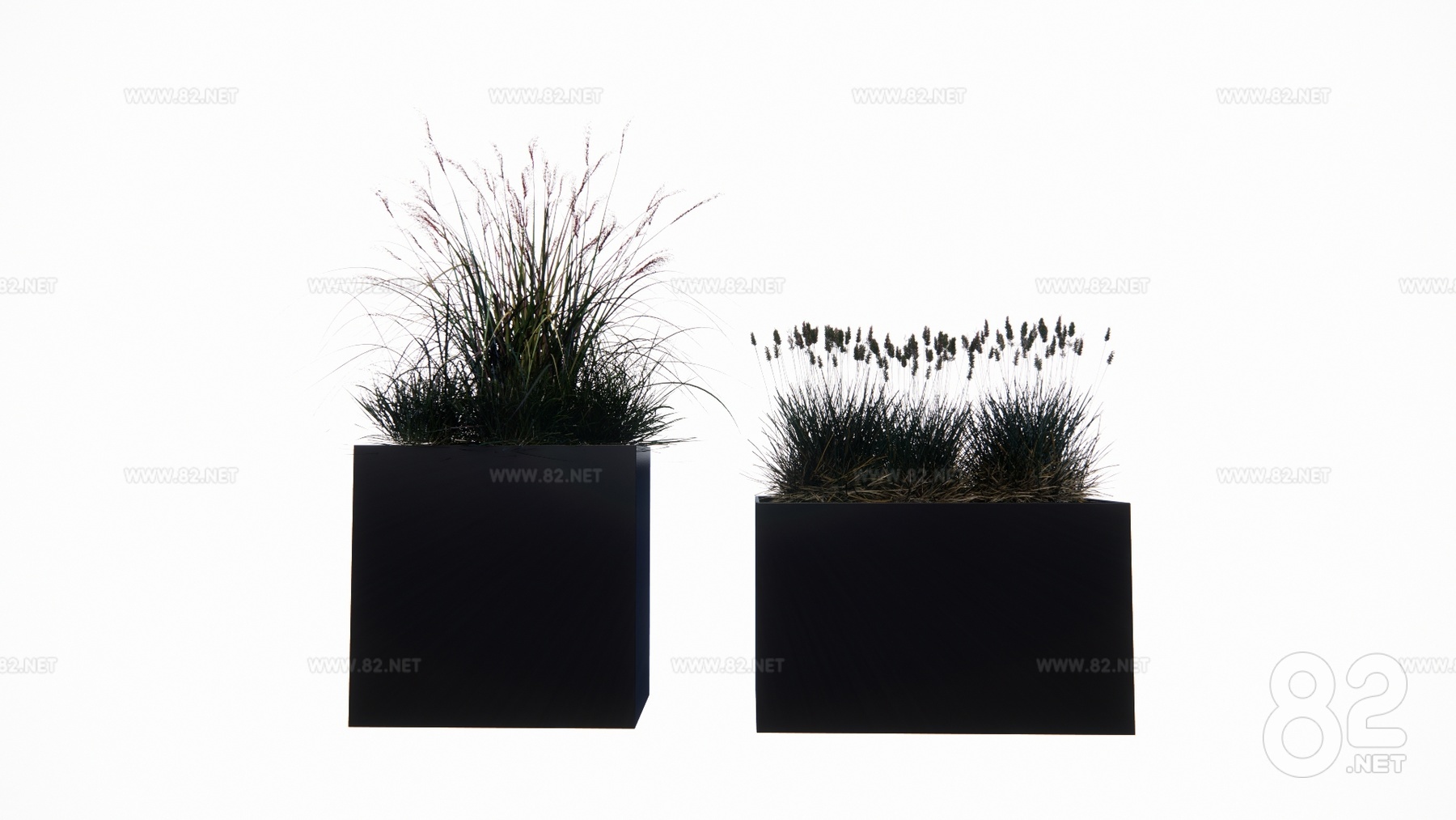 Plant Tree Flower Mirror Outdoor Landscape Shrub download | SketchUp ...
