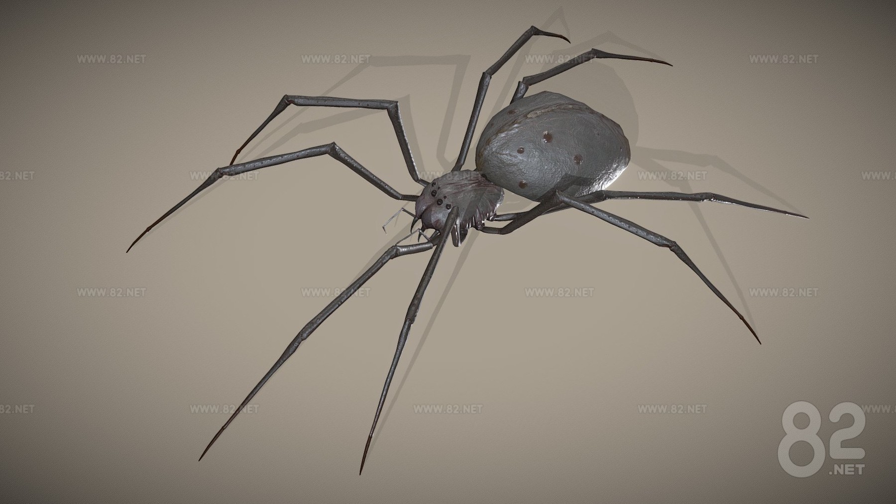 Spider Monster with Animation download | 3Ds Max(.max) - 82Models